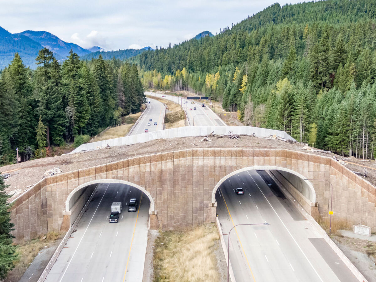 Bridge Abutment Retaining Walls | MSE Wall Bridge Systems